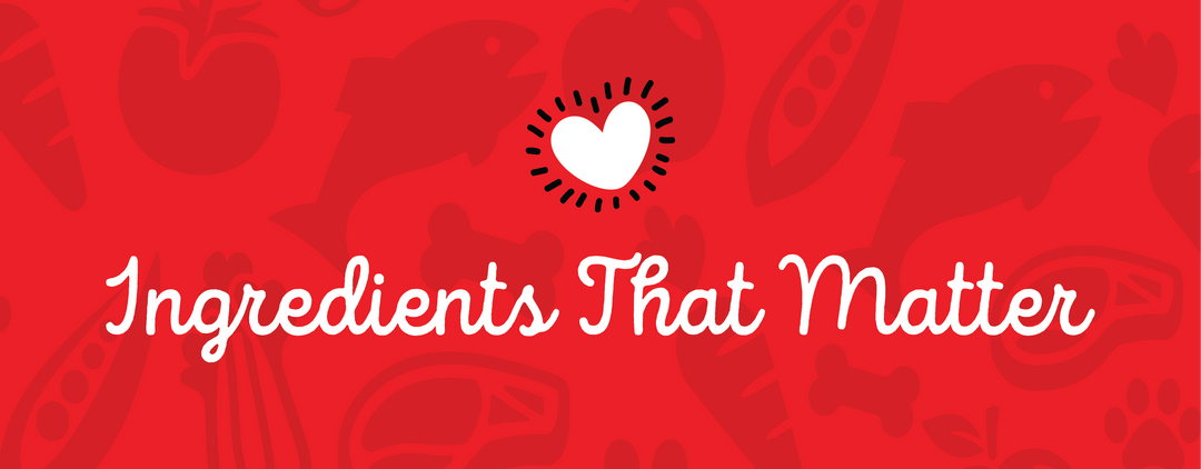 Four-Legged Foodie – Four-Legged Foodie